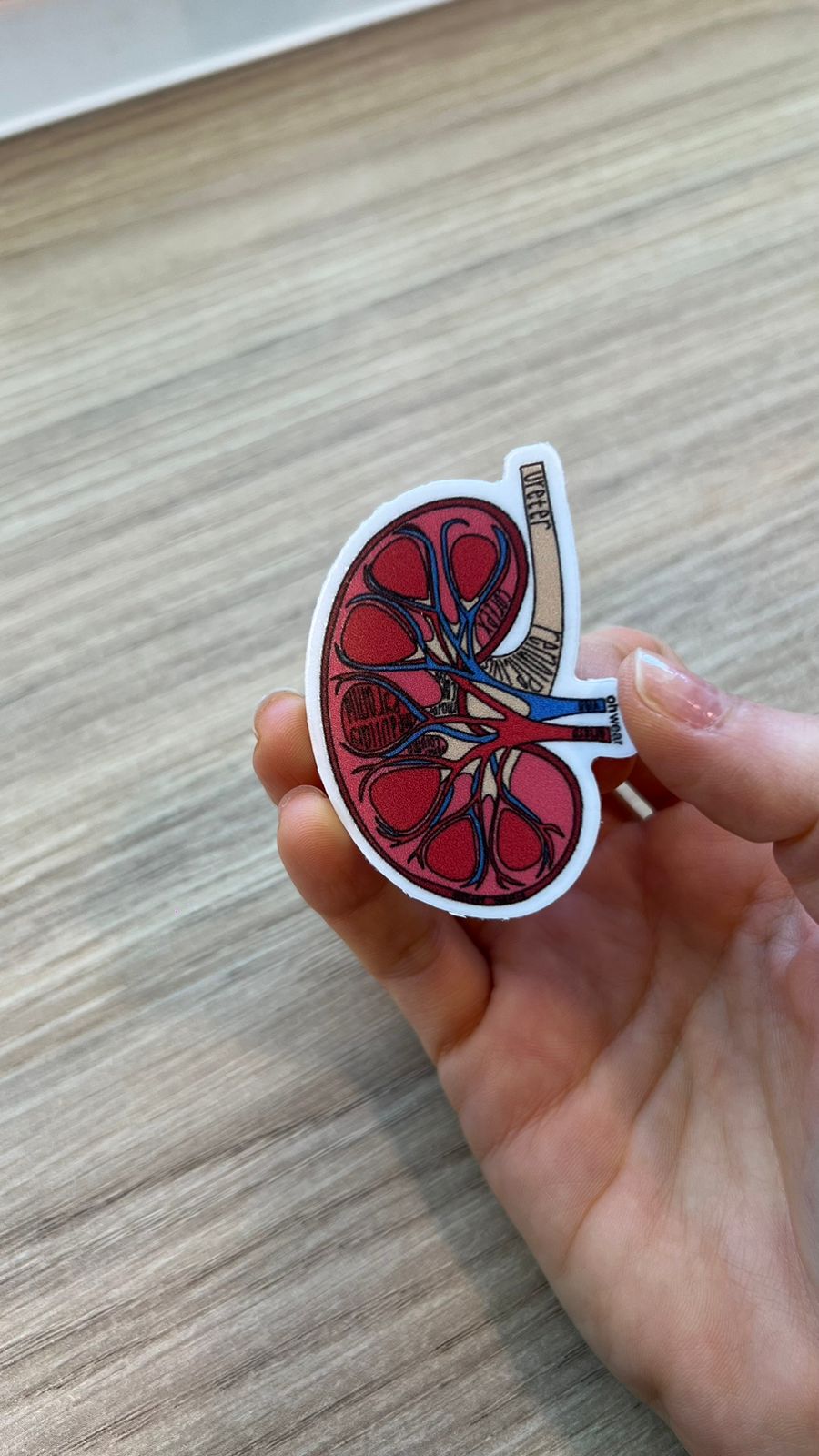 Sticker Riñón - Oh! Wear